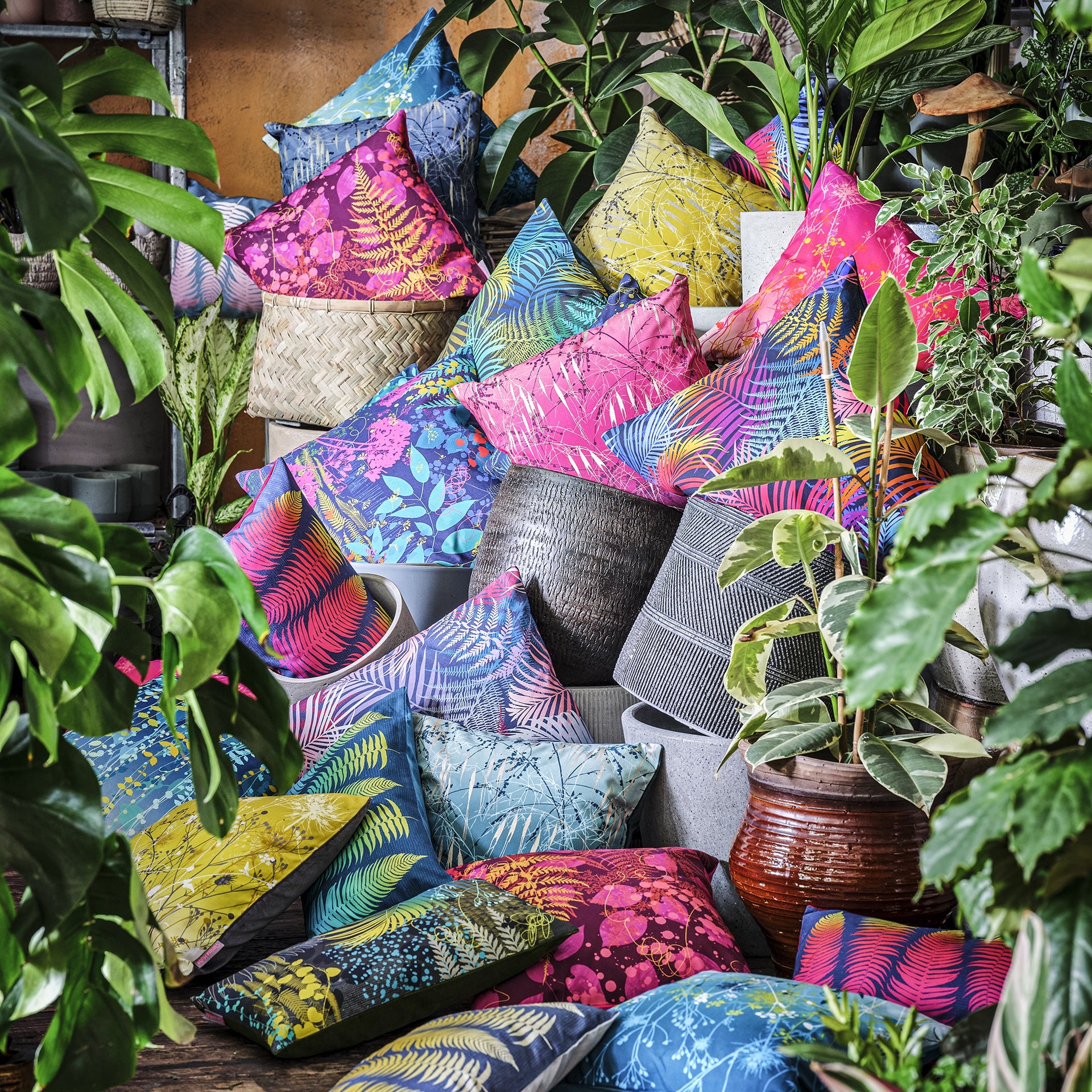 My Houseplant Obsession with Emily Lawlor, Owner of Happy Houseplants ...