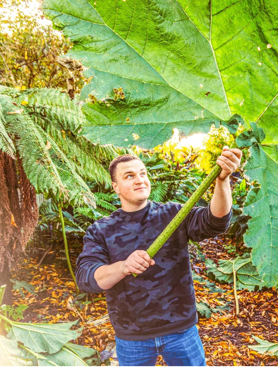 Growing Bold: A Conversation with George from George’s Jungle Garden ...