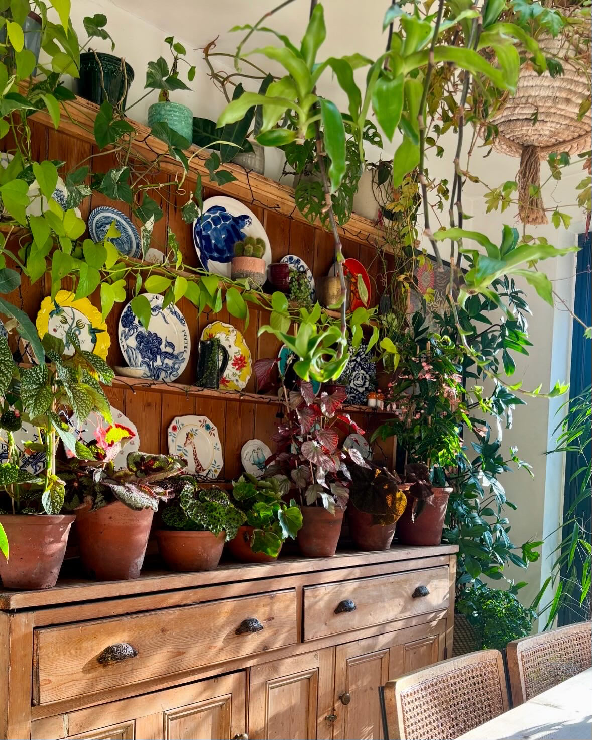Indoor Plant Propagation: The Five Easiest Methods and Best Plants for ...