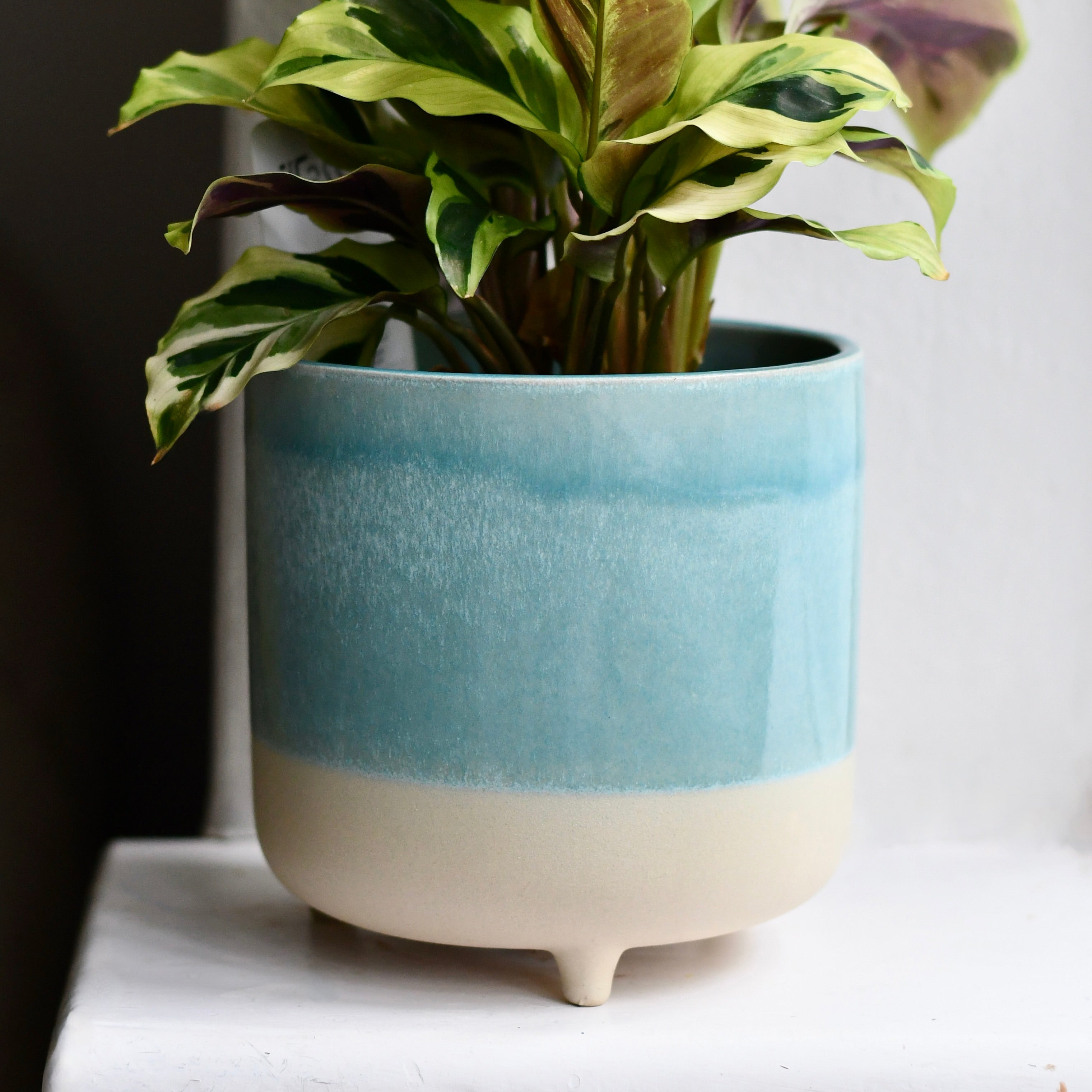 3 Leg Ceramic Reactive Glaze Indoor Plant Pot Mint Aqua (9cm pot ...
