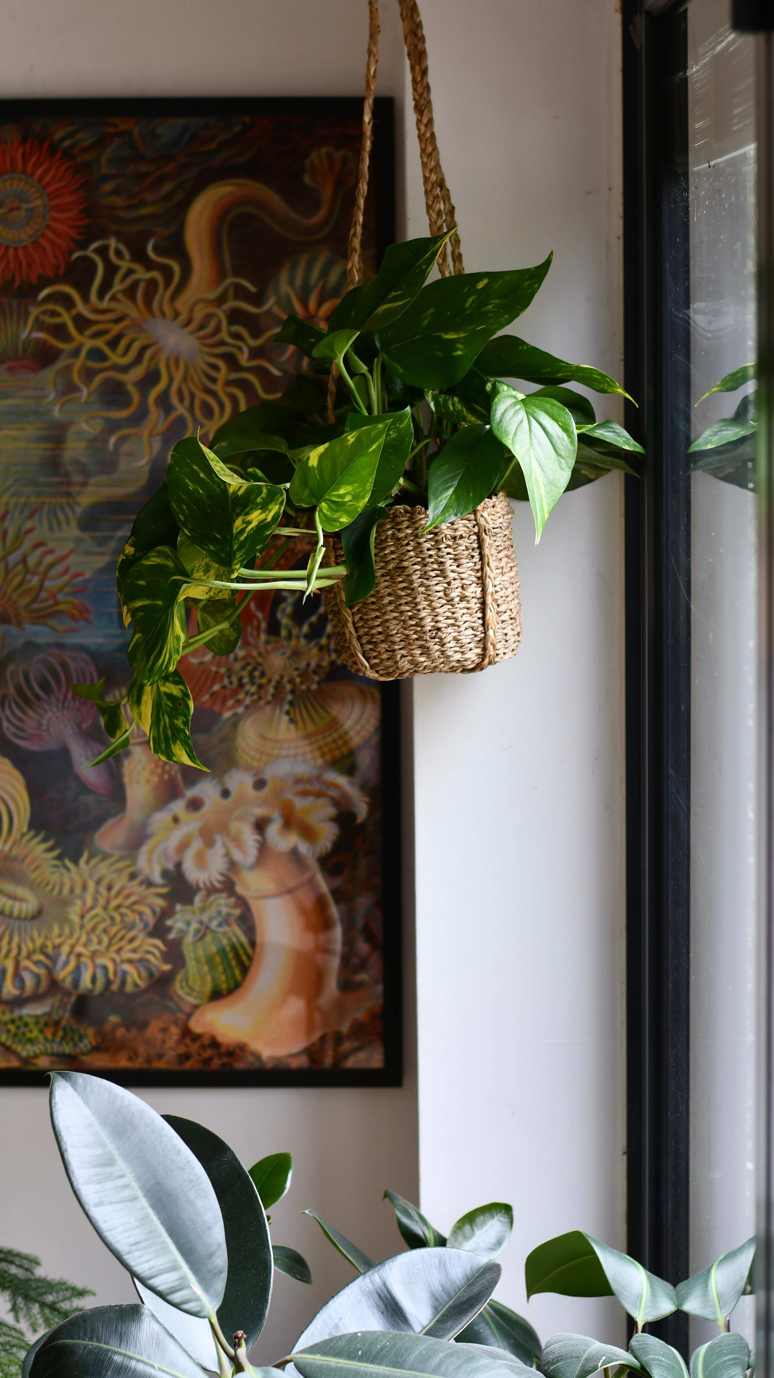 Natural Seagrass Hanging Planter | Natural Plant Pots | Happy ...