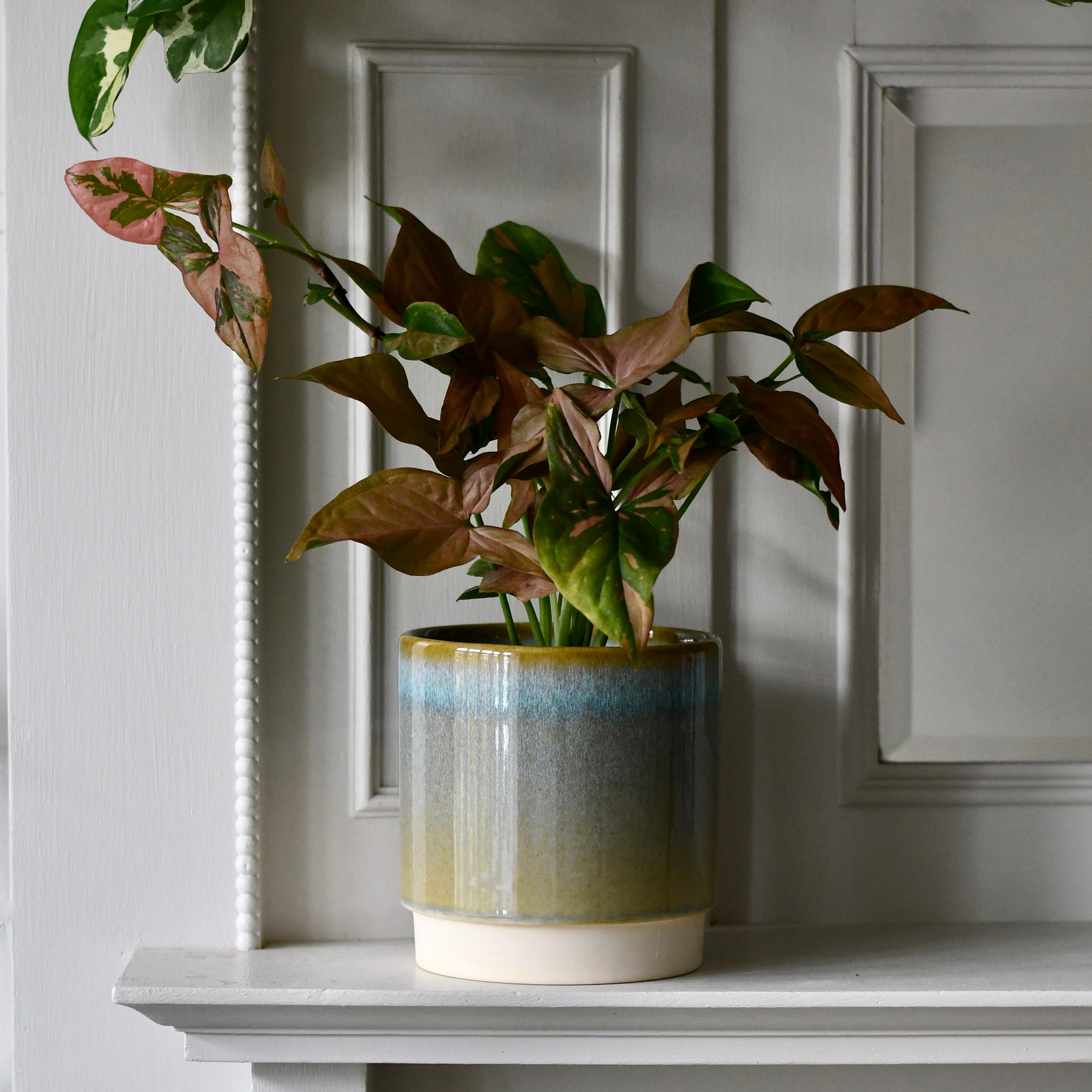 Two-Tone Blue Contemporary Aqua 14cm Indoor Plant Pot | Stylish Indoor ...