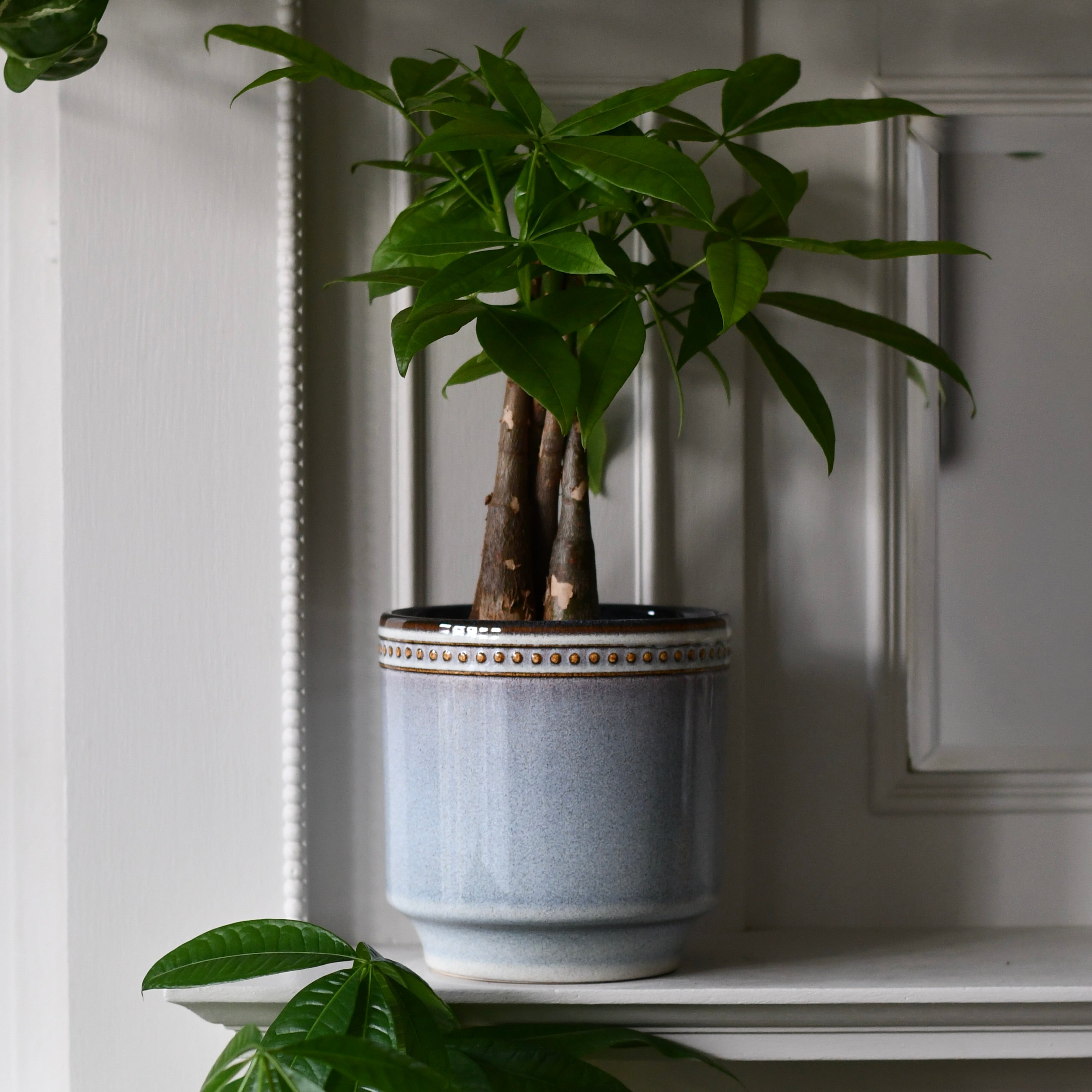 Clover Heather Dot Border Reactive Planter 15cm – Rustic Elegance with ...