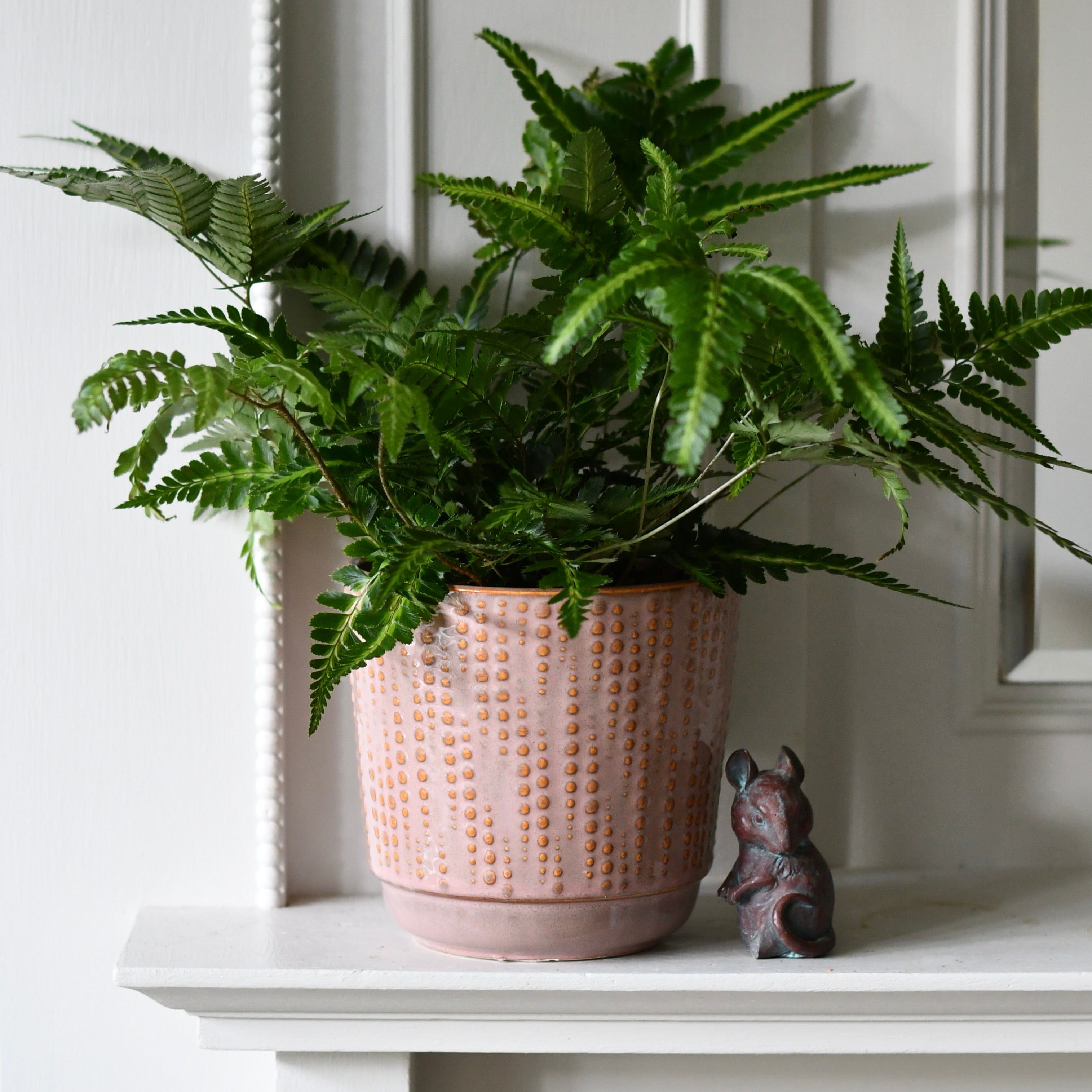 Willow Pink Retro Ceramic Pot (D17 x H15cm) – Happy Houseplants