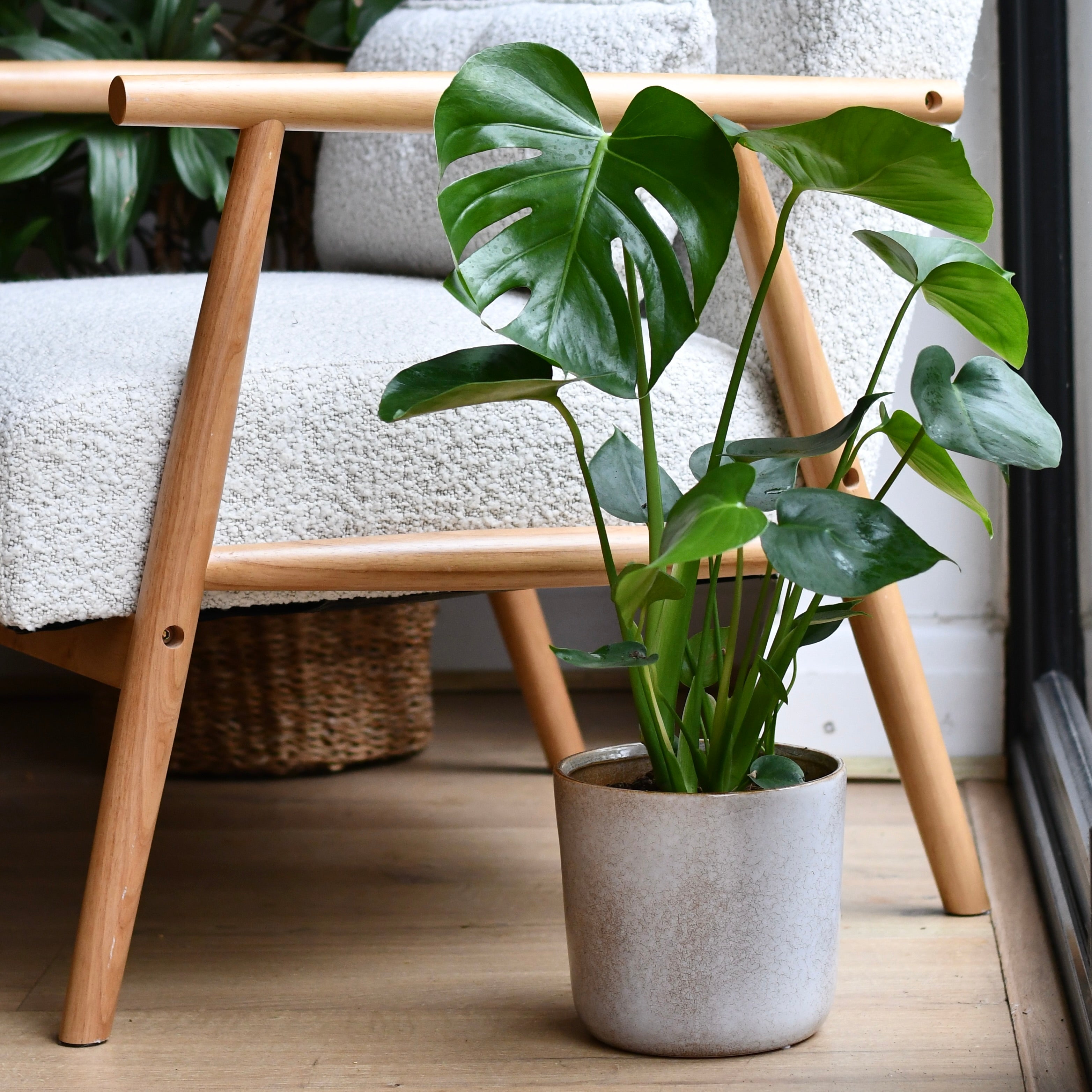 Luna Sand Retro Ceramic Pot – Happy Houseplants