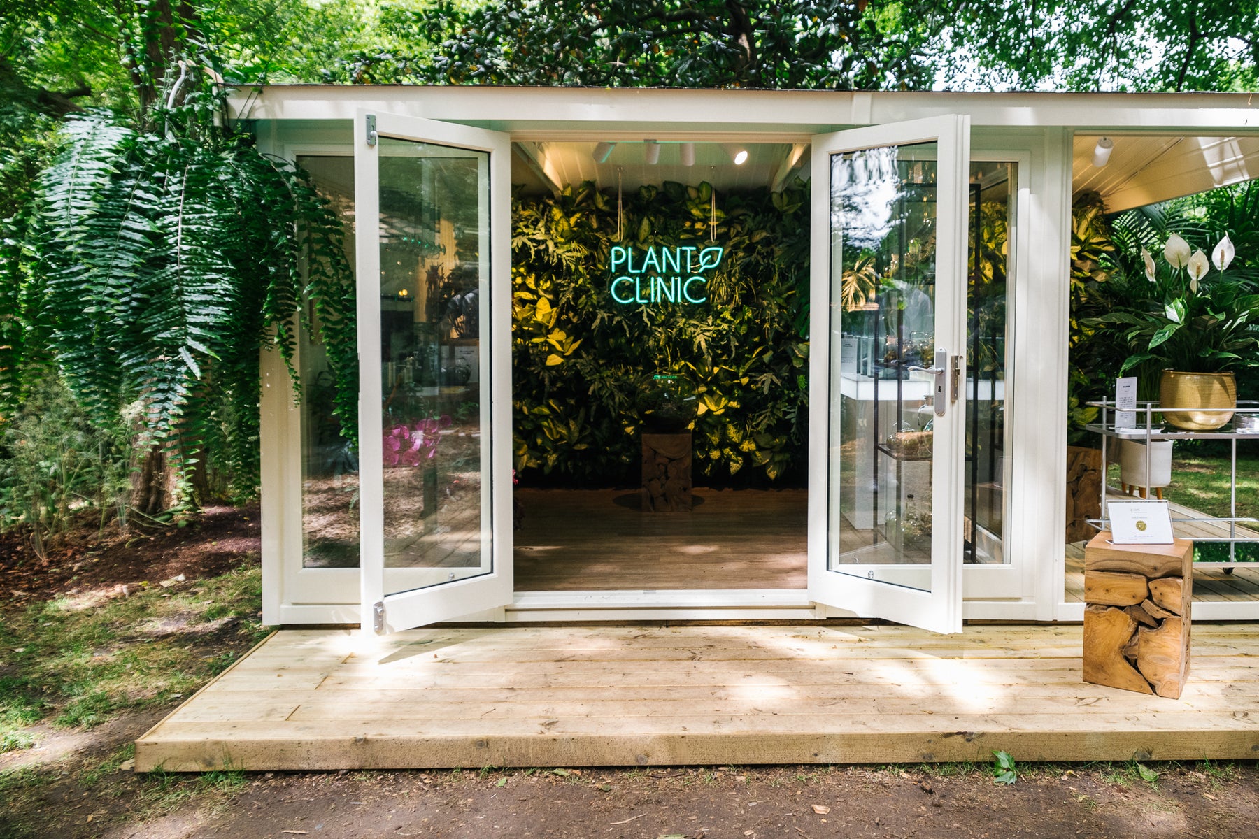 RHS Chelsea 2022 Gold Medal Winner Happy Houseplants – Happy Houseplants