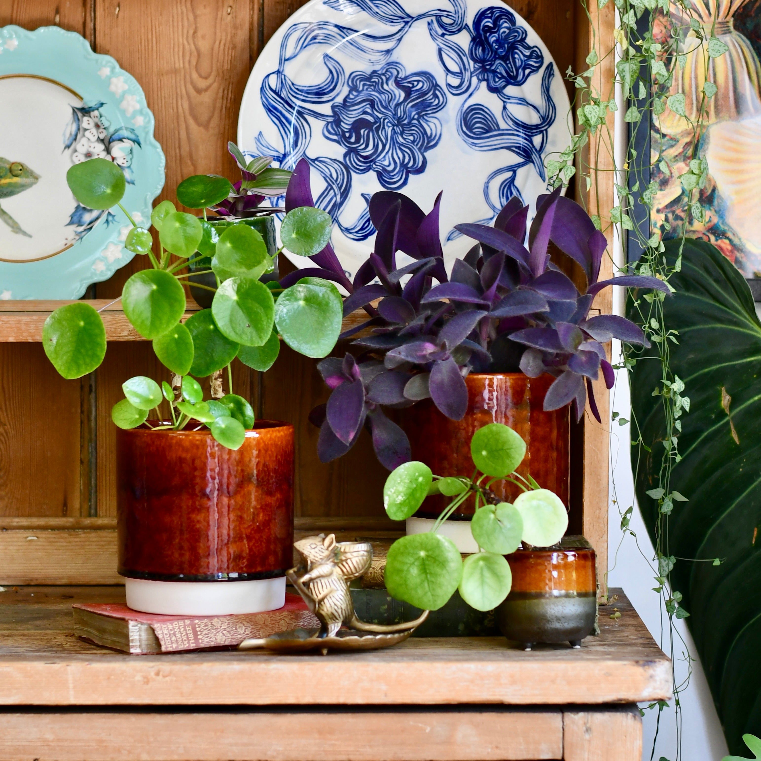 Amber Reactive Planter (13cm Plant Pot) – Happy Houseplants