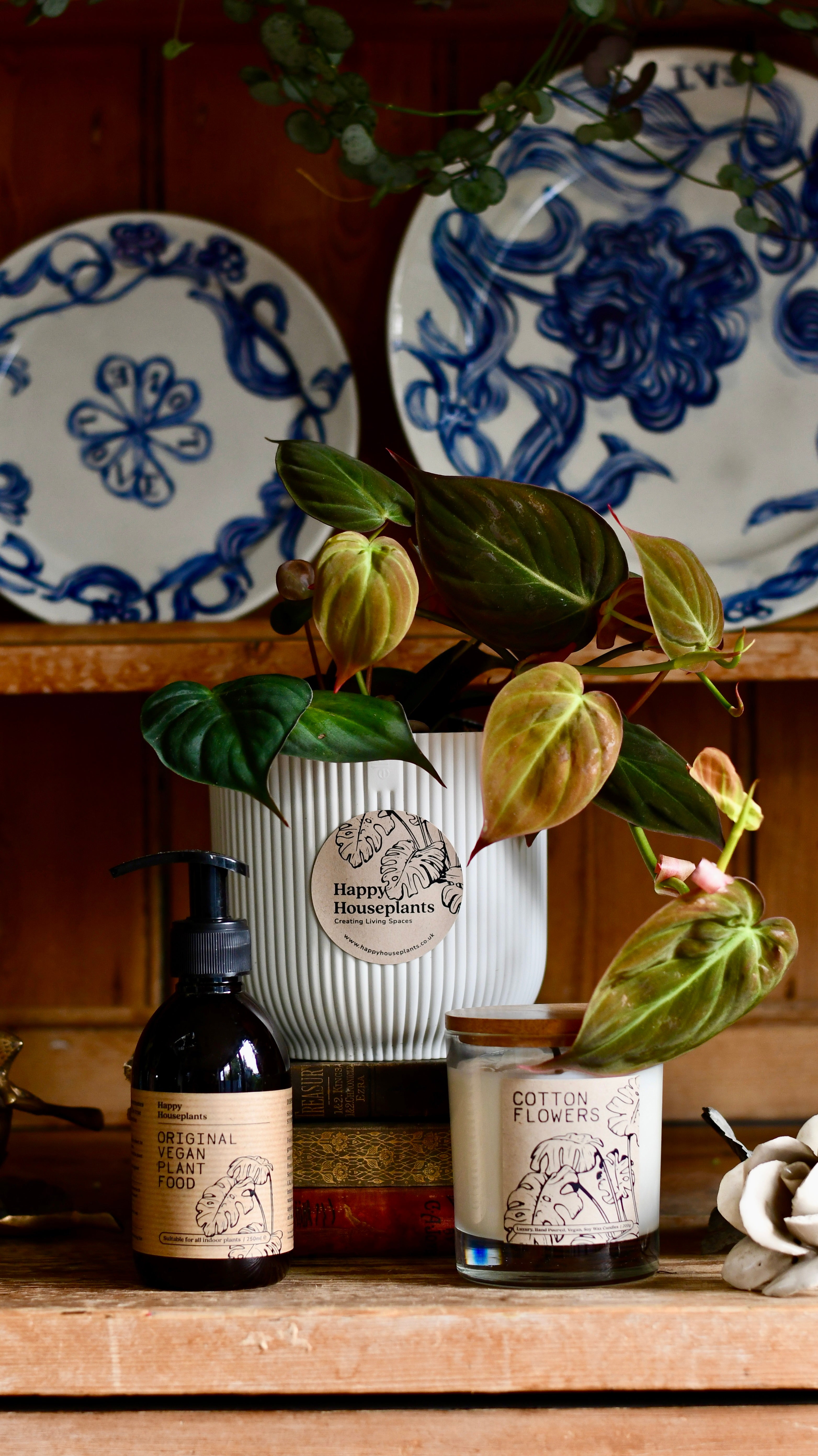 Micans Plant Gift Set | Scented Candle | Plant Food | Happy Houseplants ...