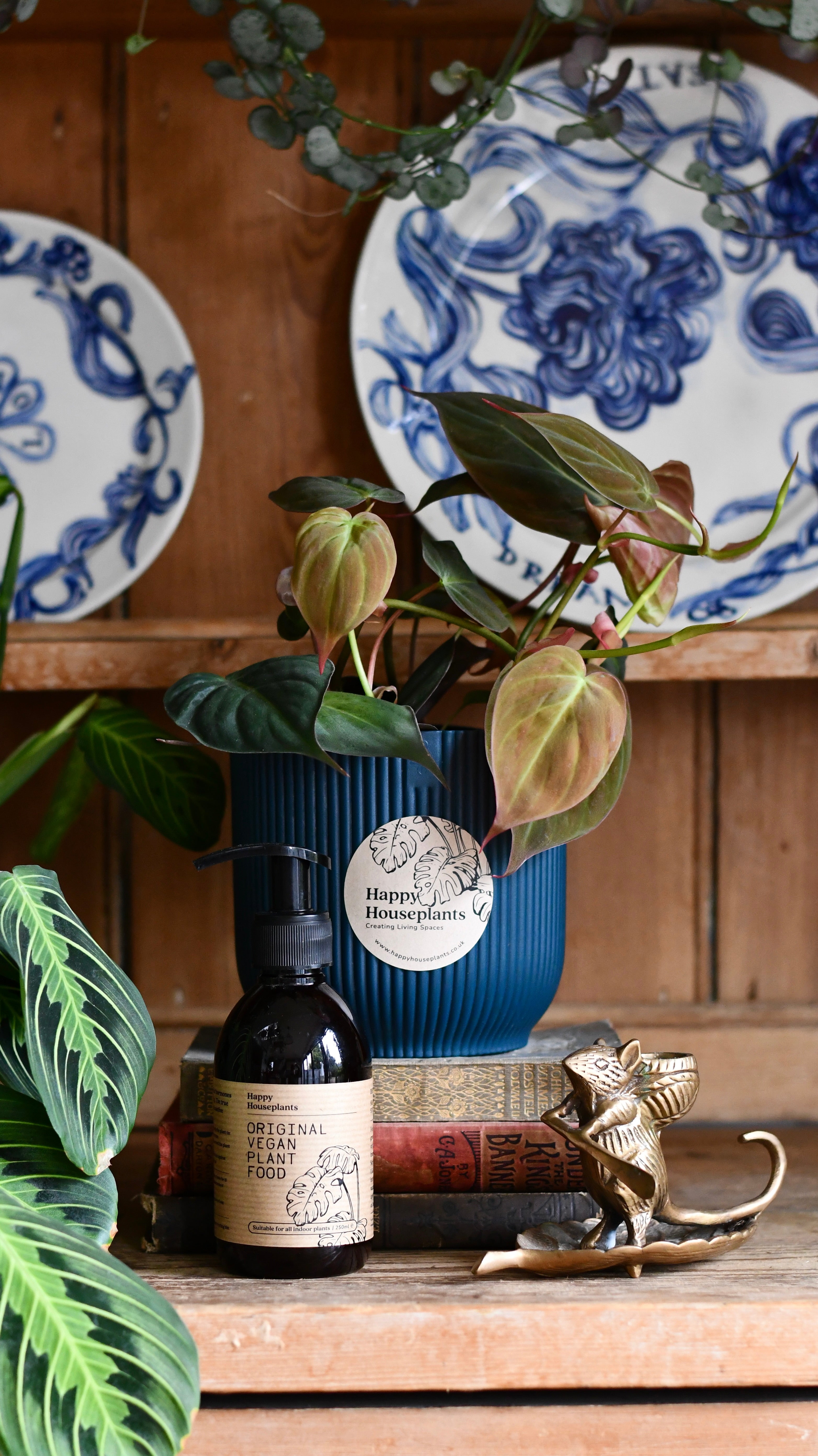 Plant Gift Set | Scented Candle & Plant Food) | Happy Houseplants ...